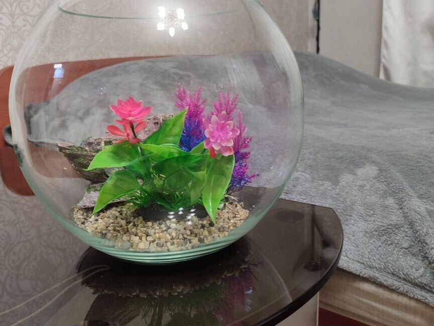 Аквариум круглый 10л