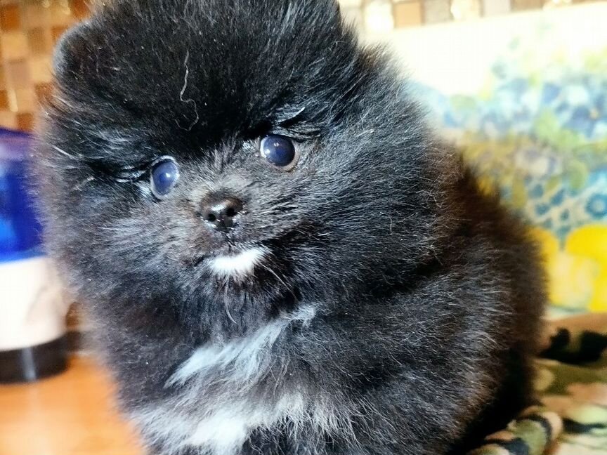 Микро девочка