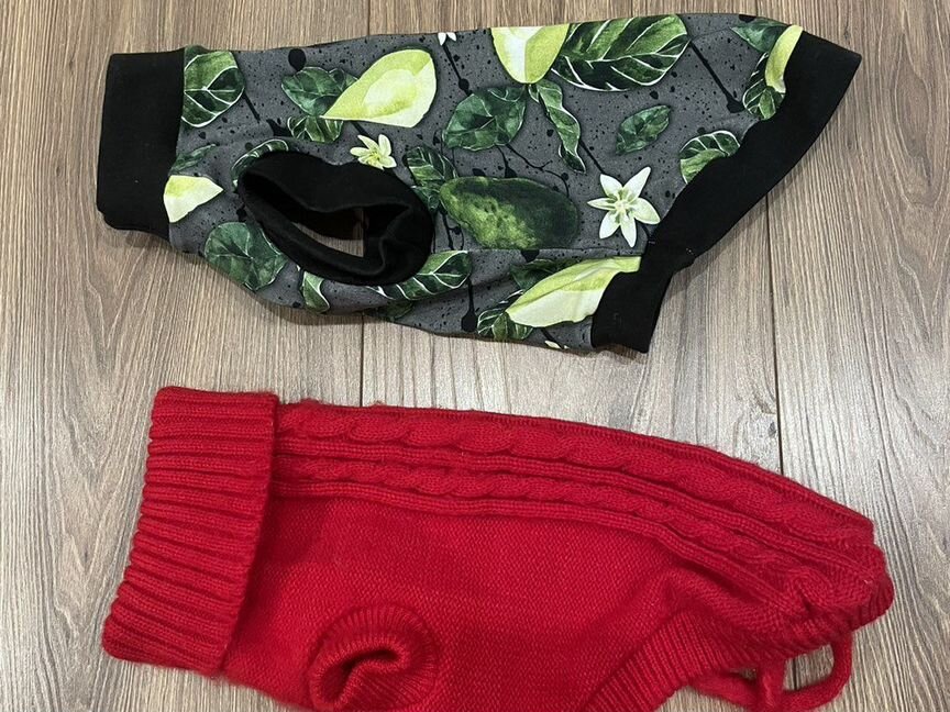 Одежда для кошек