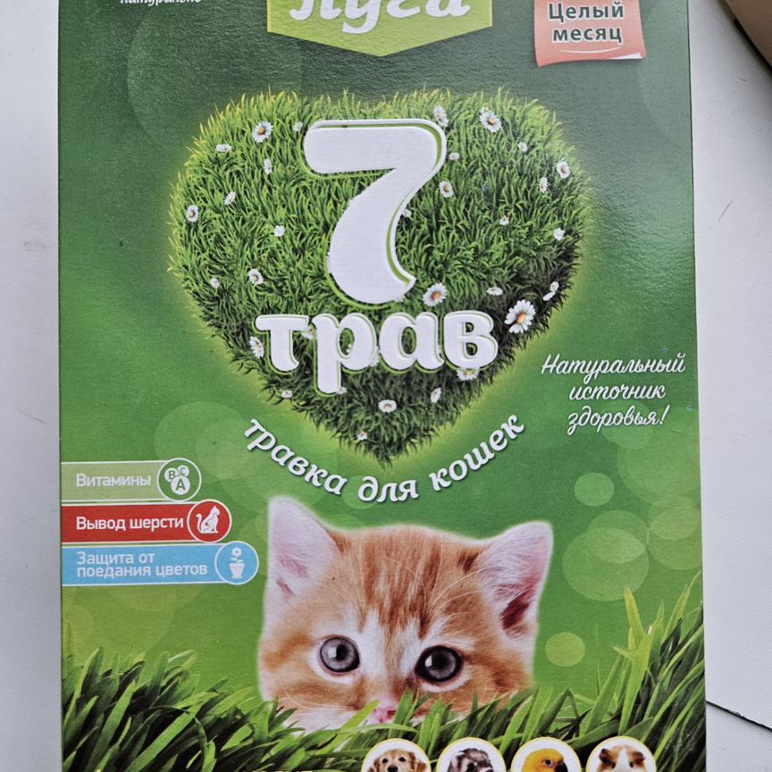 Кошачья трава