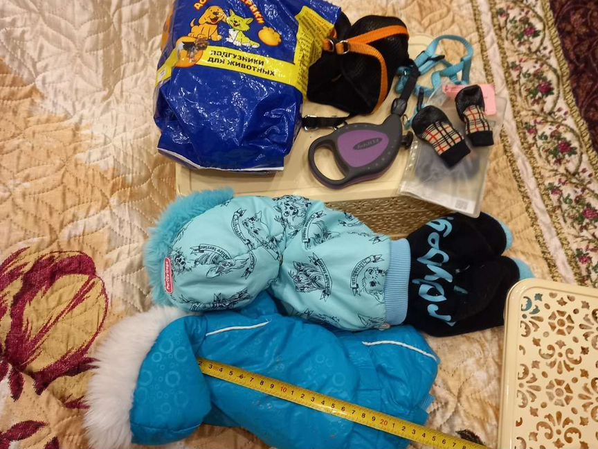 Вещи для маленьких собак
