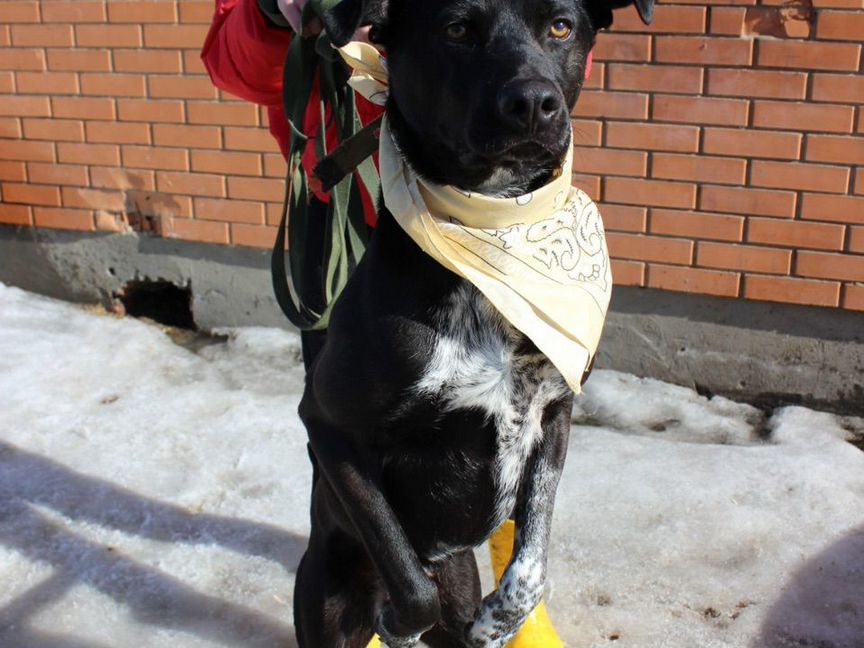 Молодой пятнистый мальчишка