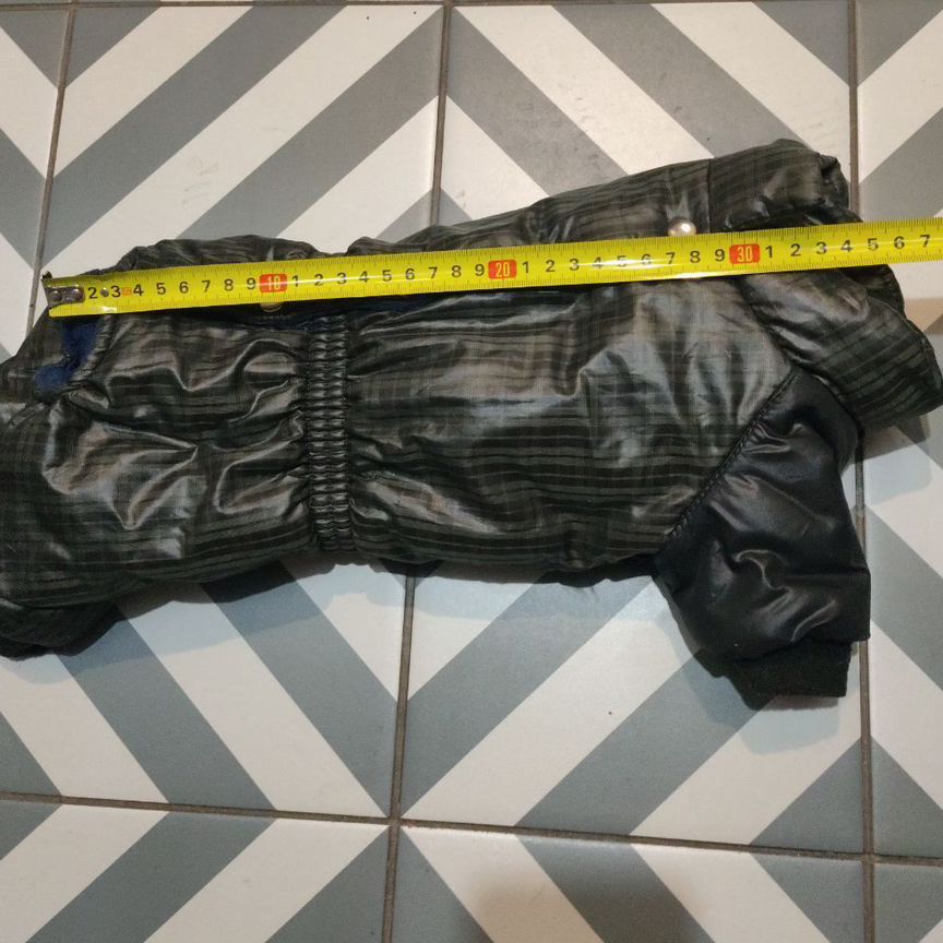 Одежда для собак мелких пород