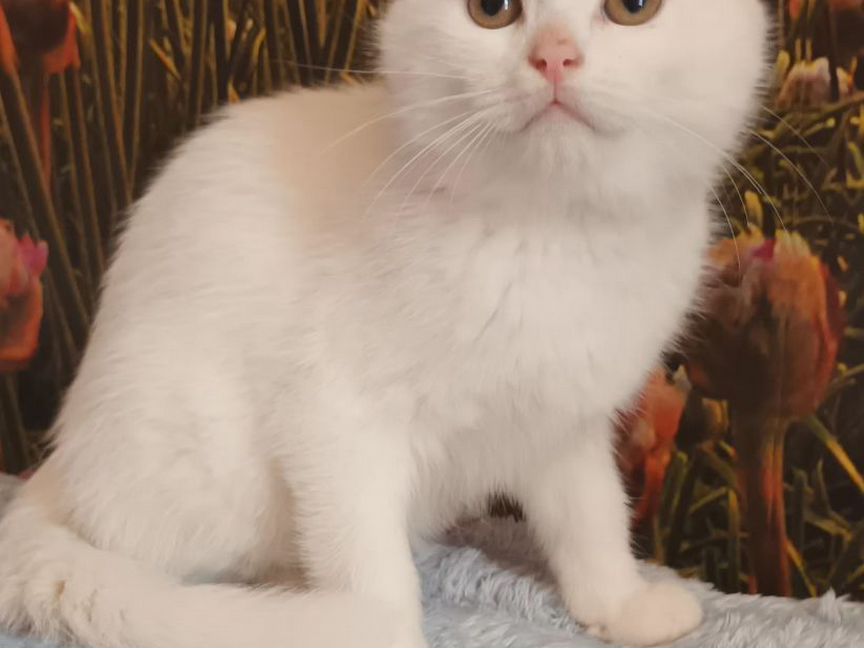 Плюшевый красавчик 3 мес