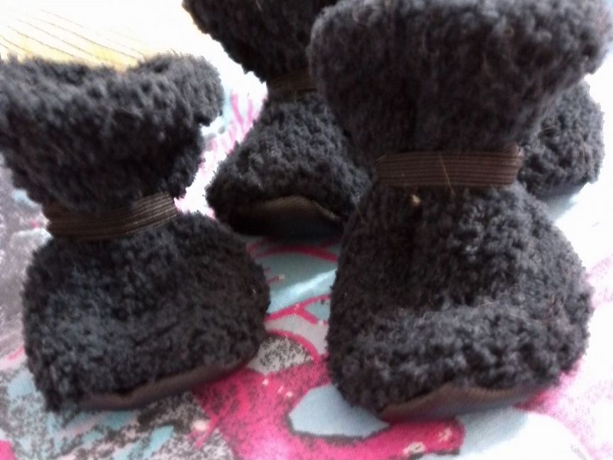 Обувь для животных