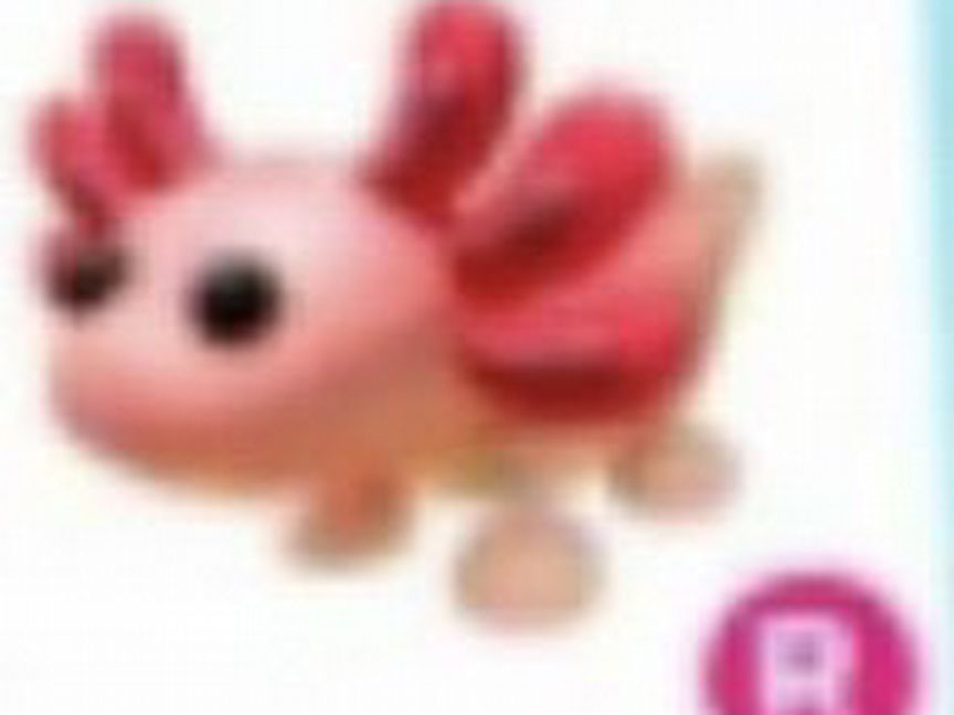 Пет аксолотль фр