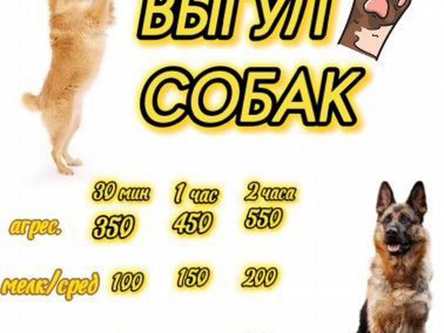 Собака