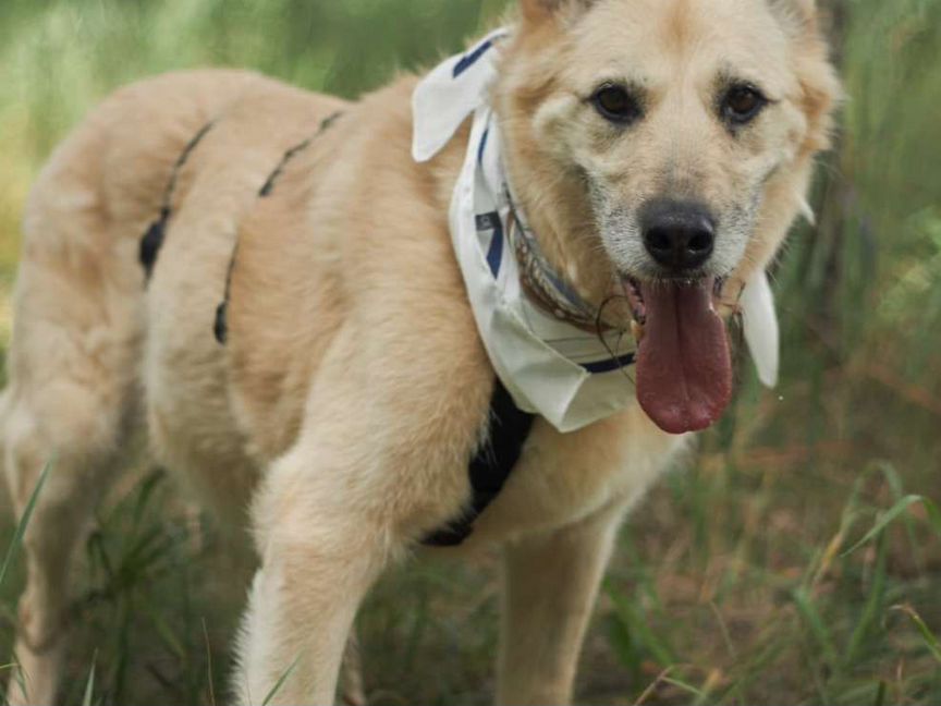 Приглядитесь к Балте