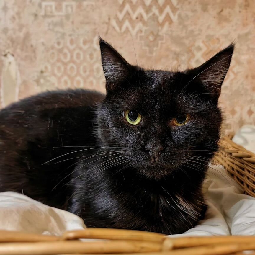 Он знает что такое трудности