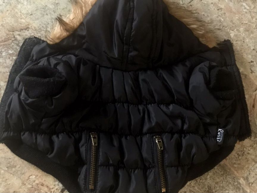 Курка для щенка