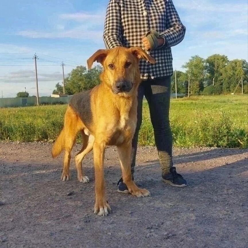 Гриша ищет свою любящую семью