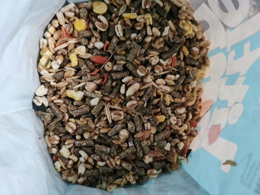 Корм, лакомства для грызунов