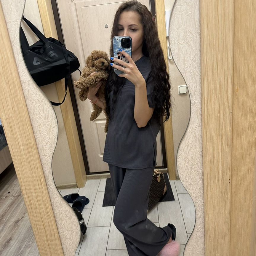 Той пудель от китайского тедди