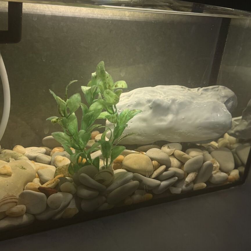 Аквариум 10л комплект