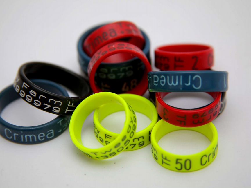 Кольца для кур бойцовых петухов