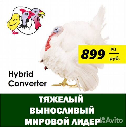 Индюки Канада, породы Hybrid Converter