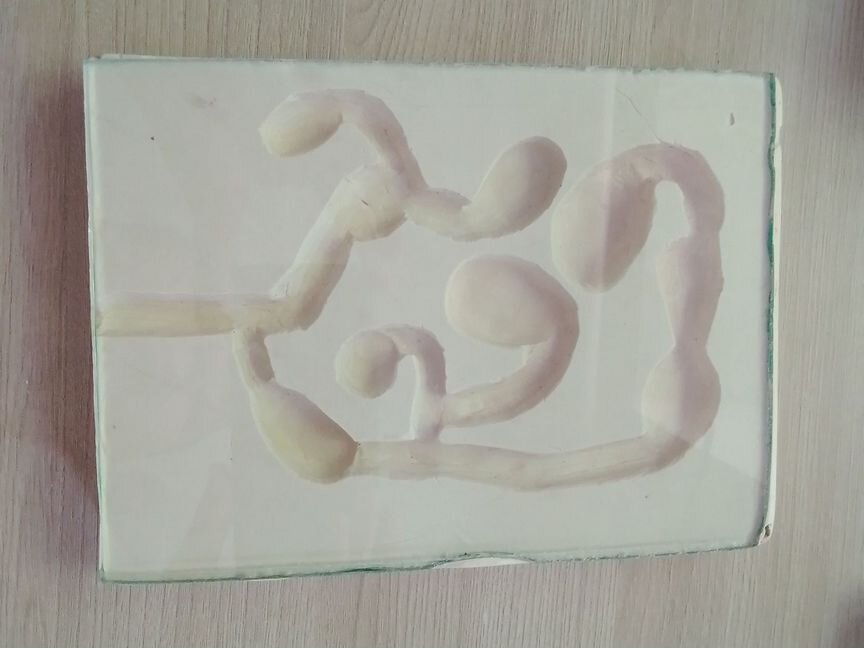 Муравьиная ферма новая