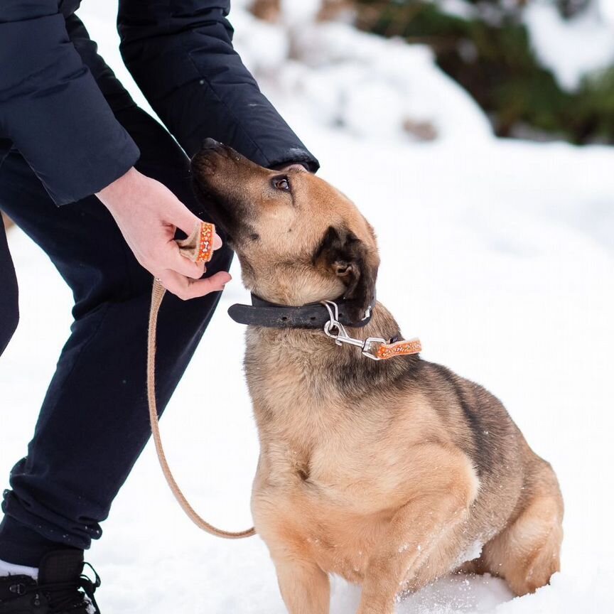 Ладненький Филя