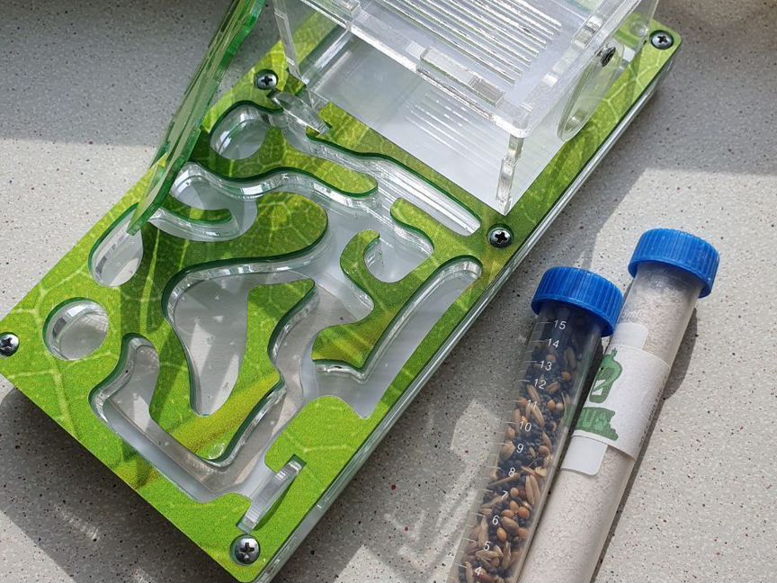 Муравьиная ферма