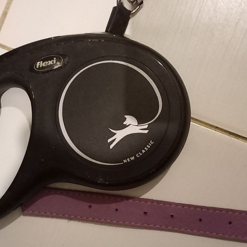 Рулетка flexi m 5 м