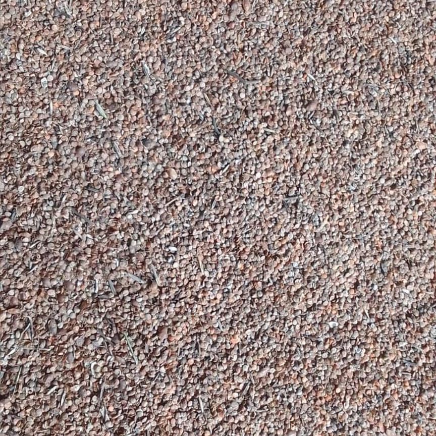 Продам отходы чечевицы. 12р