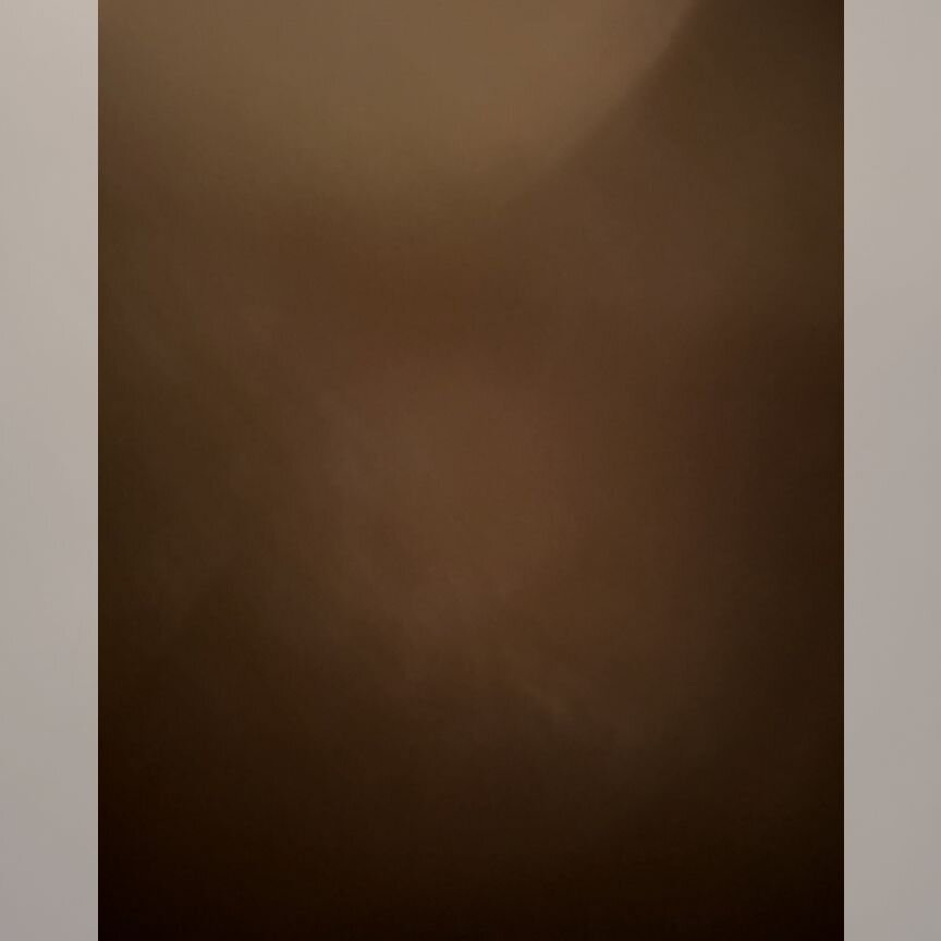 Цвергшнауцер, щенок