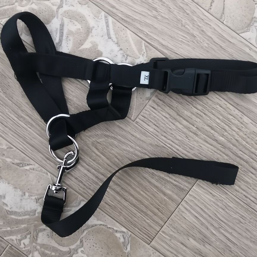 Недоуздок (халти) XL