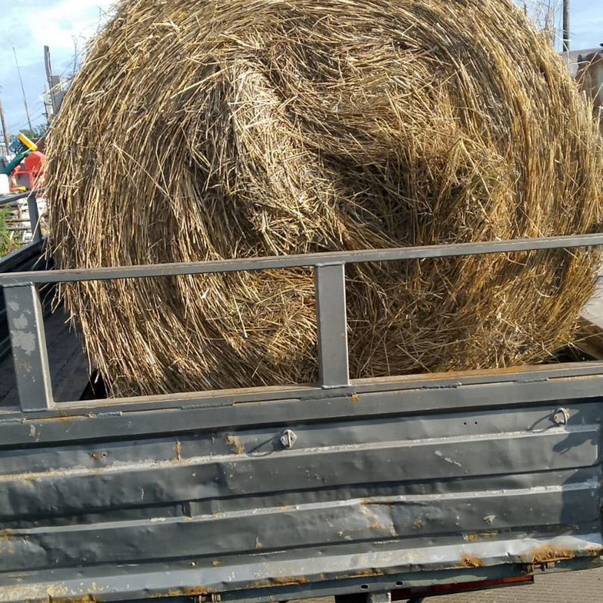 Продам сено в рулонах