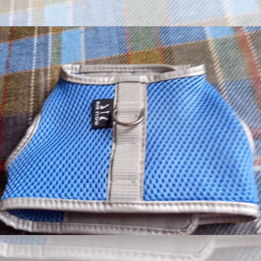 Шлейка для маленьких собак