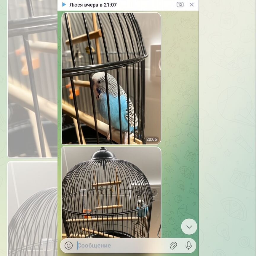 Клетка для попугая