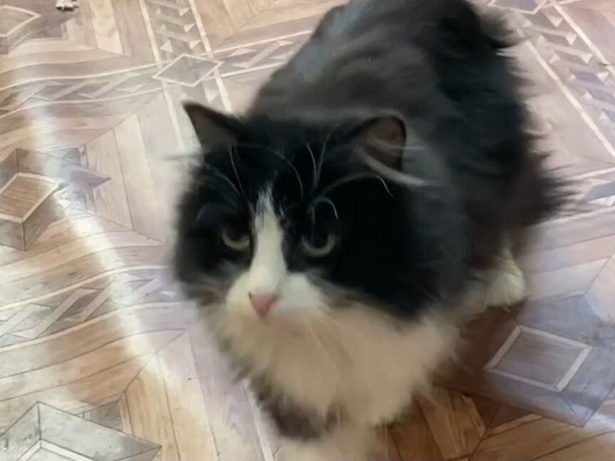 Никто не любит