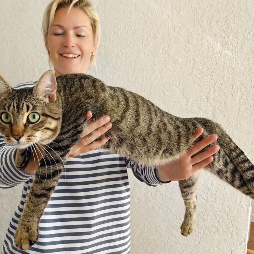 Отдам Василия в Добрые Руки