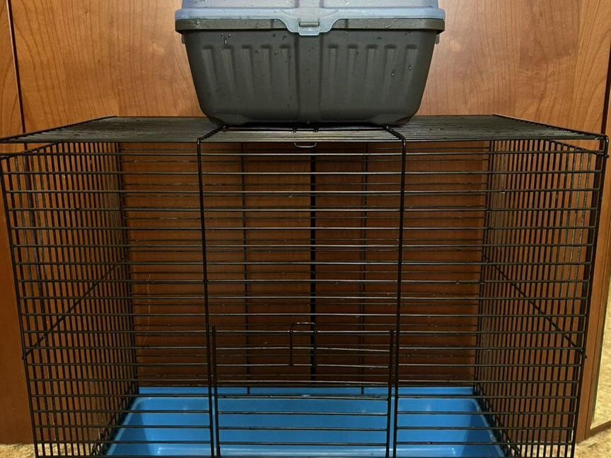 Клетка для грызунов + переноска