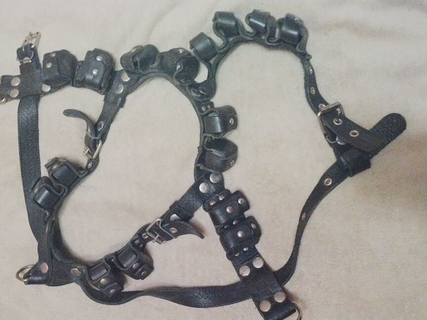 Шлейка с грузами