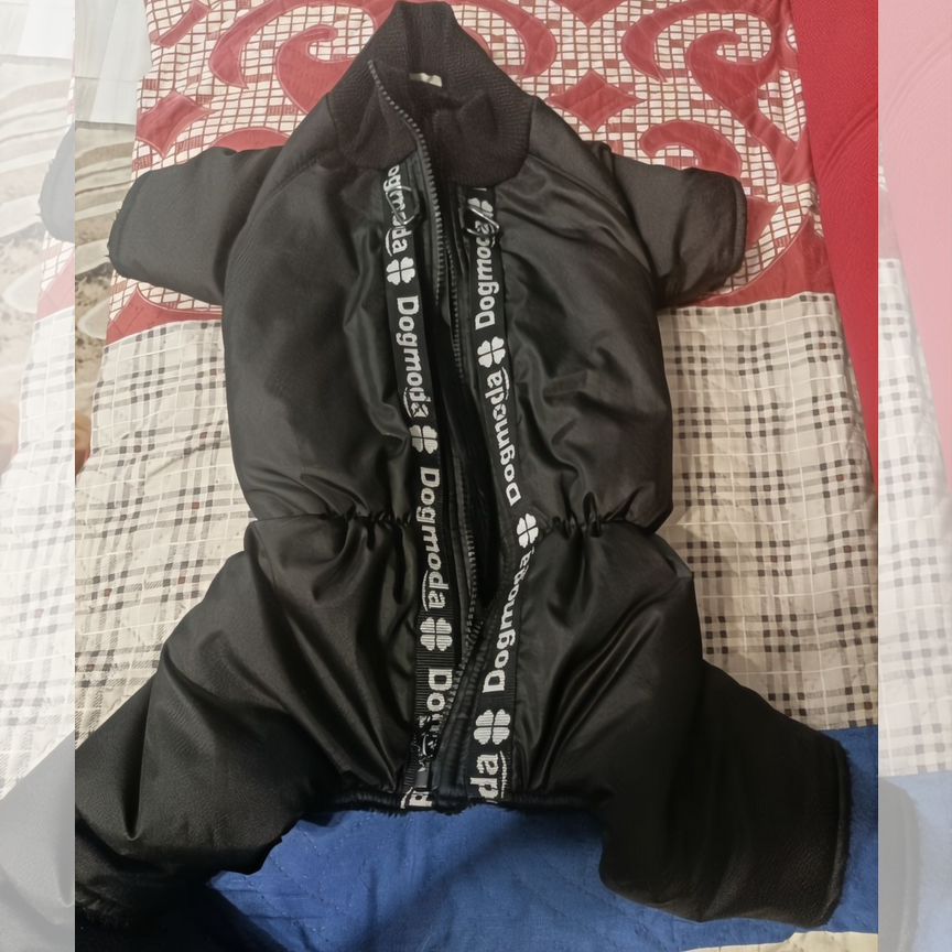 Одежда для собак мелких и средних пород