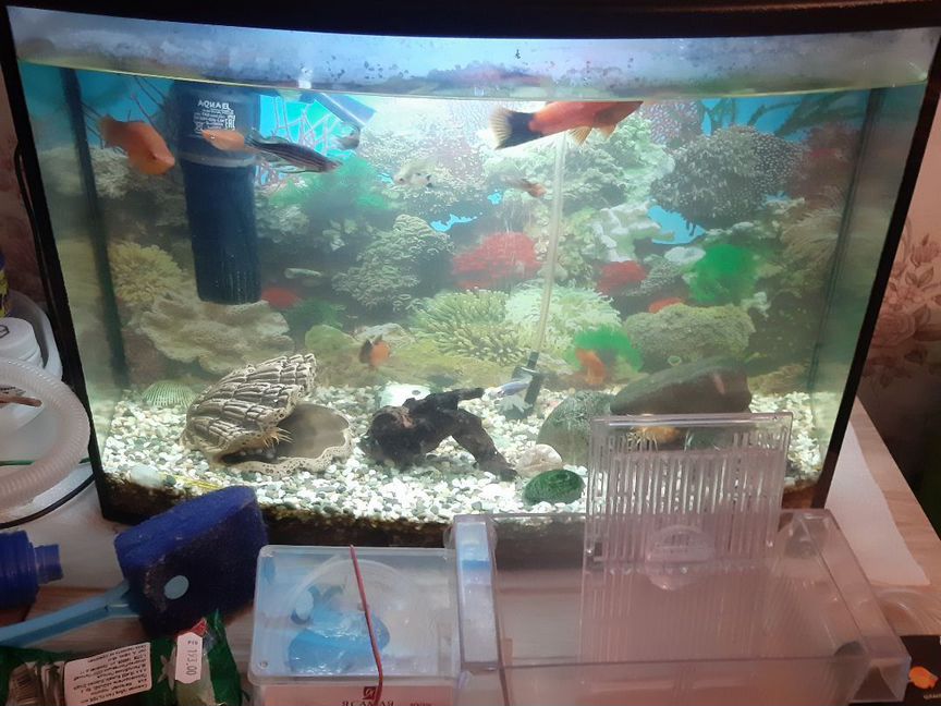 Аквариум с рыбками, фильтром и комплектующими