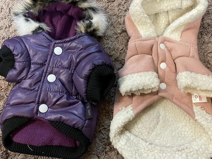 Костюм для собаки