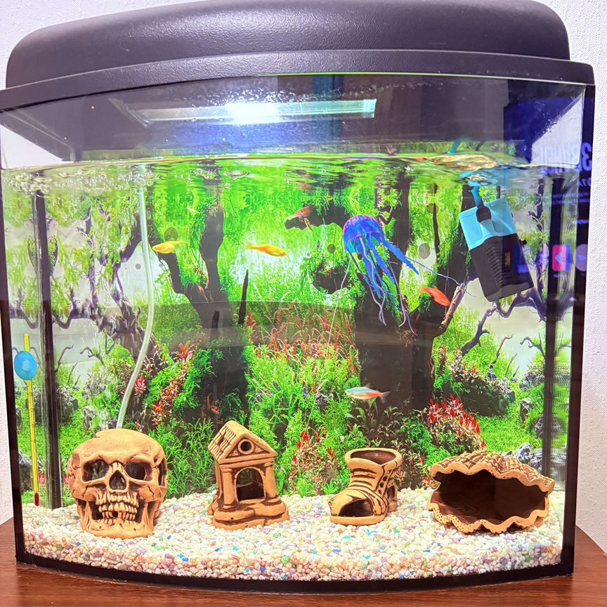 Продам Аквариум с рыбками