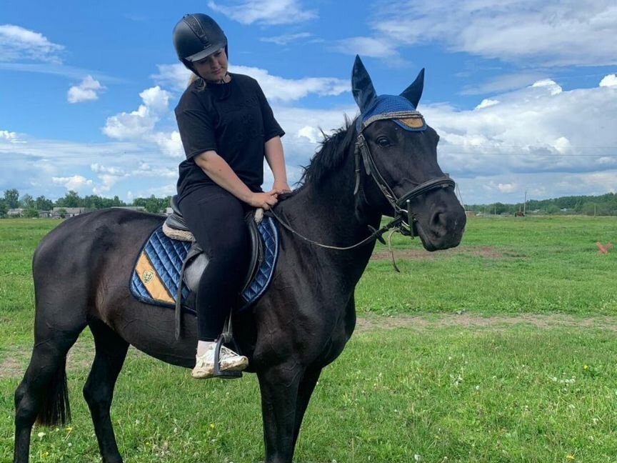 Комплект для лошади