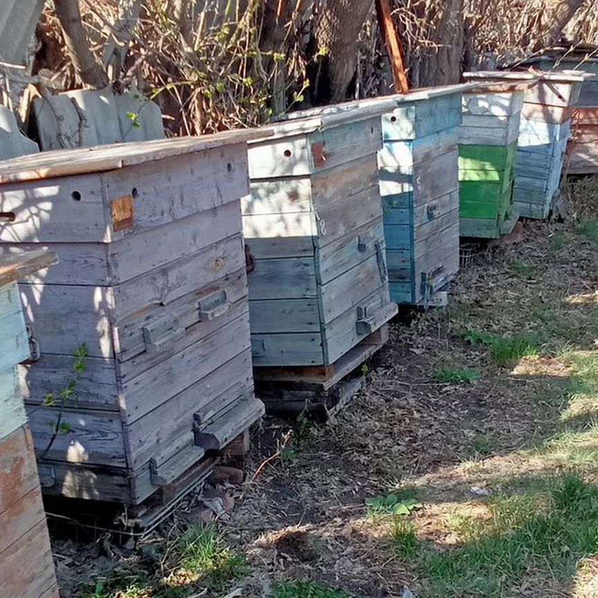 Улей для пчел