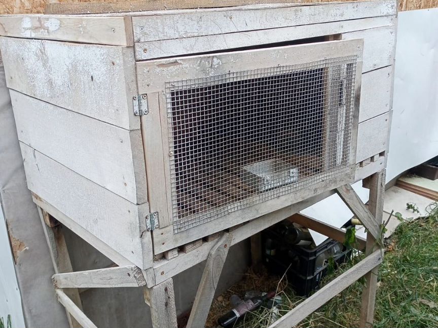 Крольчатник