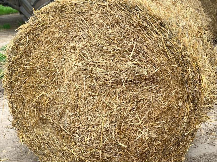 Продам овсяную солому