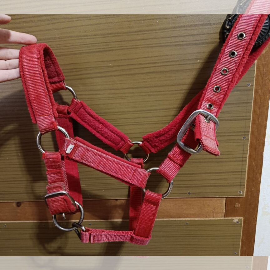 Недоуздок для лошади