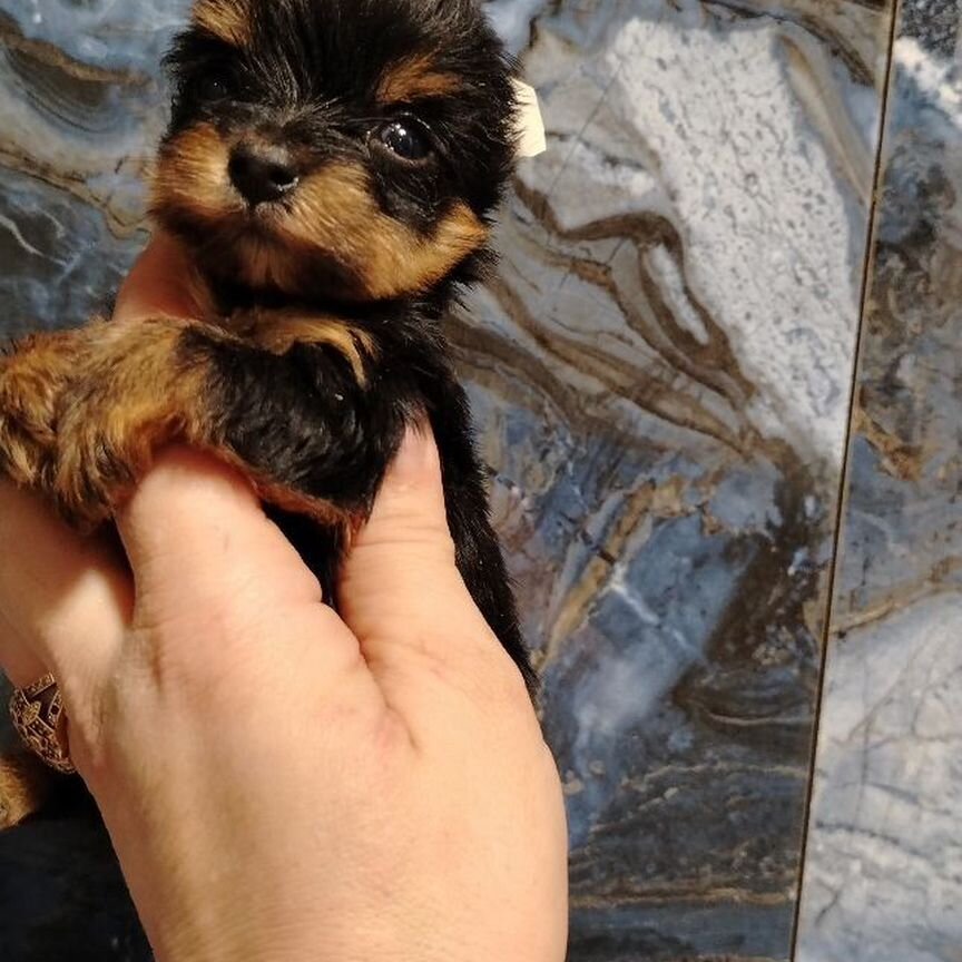 Миниатюрная куколка