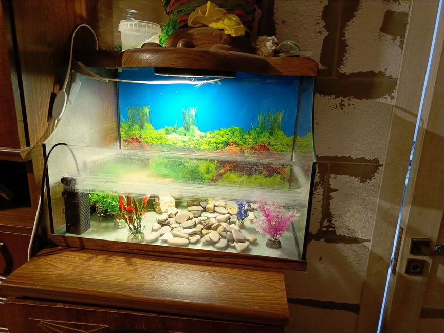 Террариум/аквариум