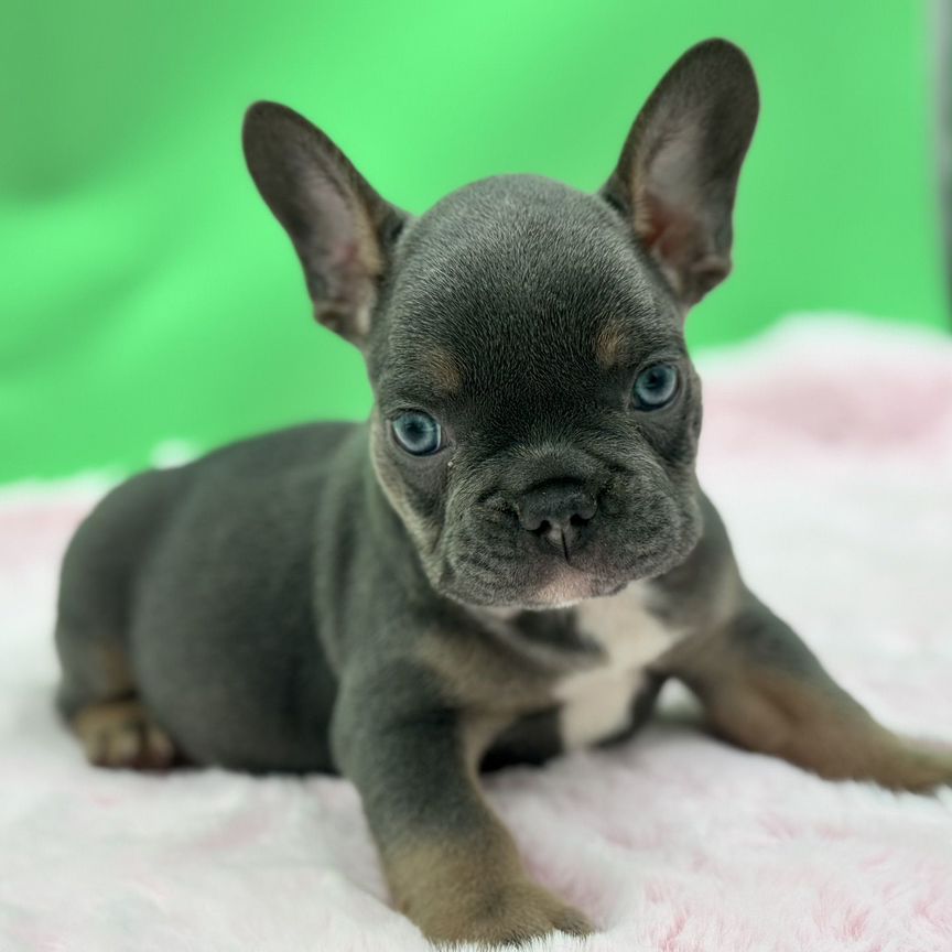 Голубо глазый мальчишка