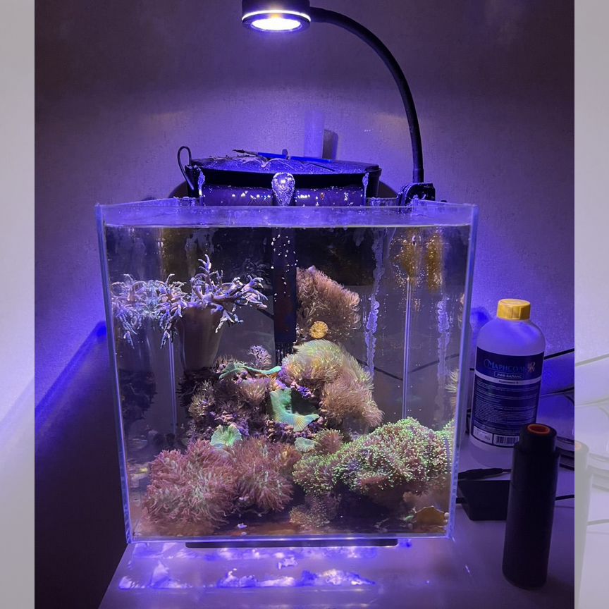 Морской аквариум комплект