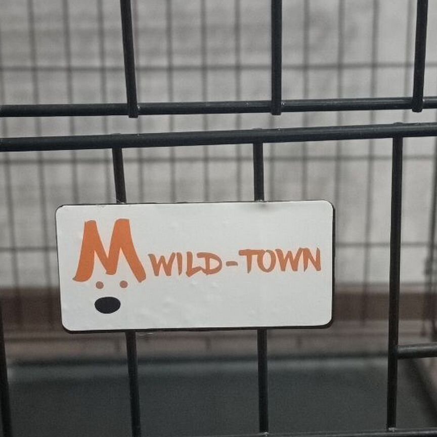 Клетка для собак Wild Towun