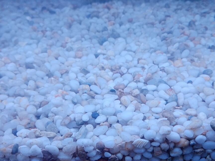 Грунт для аквариума (крымская янтарная галька)