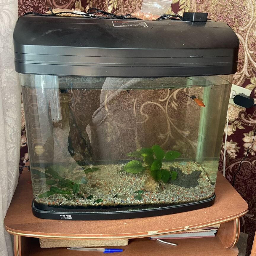 Аквариум с крышкой